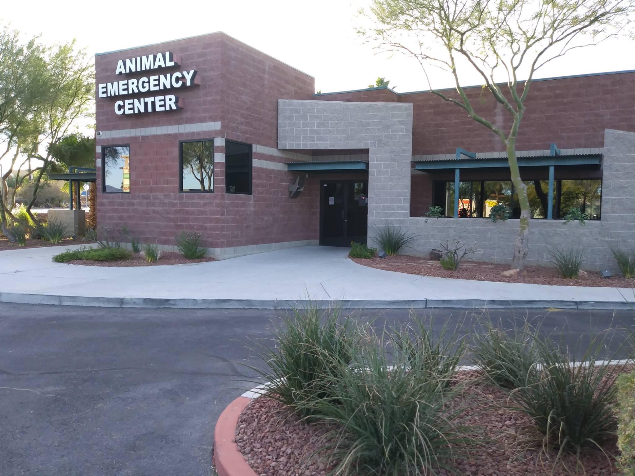 Animal Emergency Center Henderson at Jane Shepherd blog