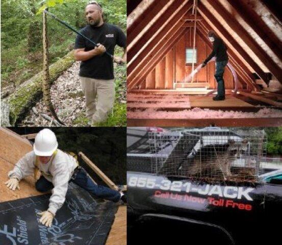 Trapper Jack Wildlife Specialist - Nashville, TN - Nextdoor