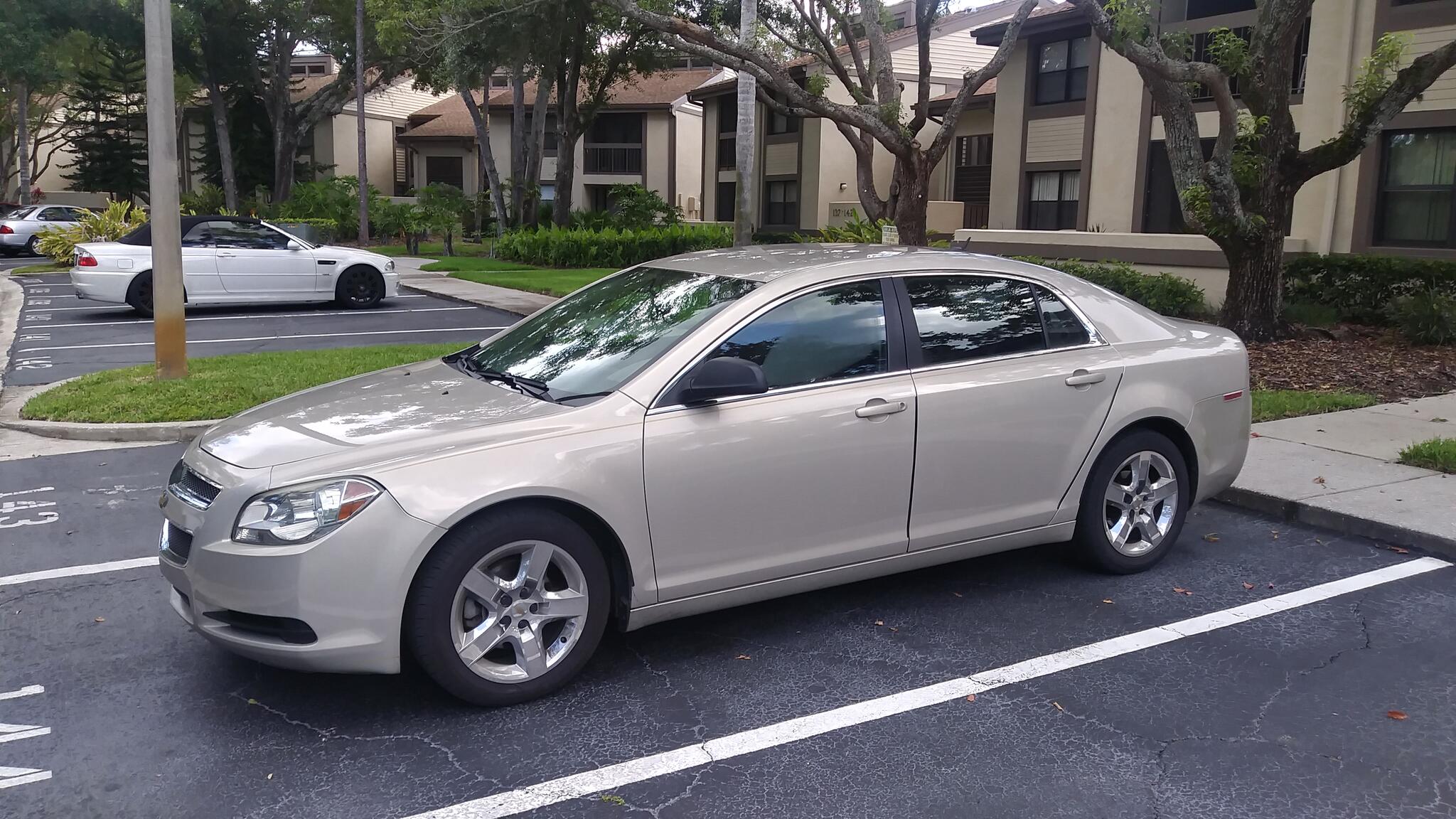 Somerset Services 813-863-8557 pls text - Oldsmar, FL - Nextdoor