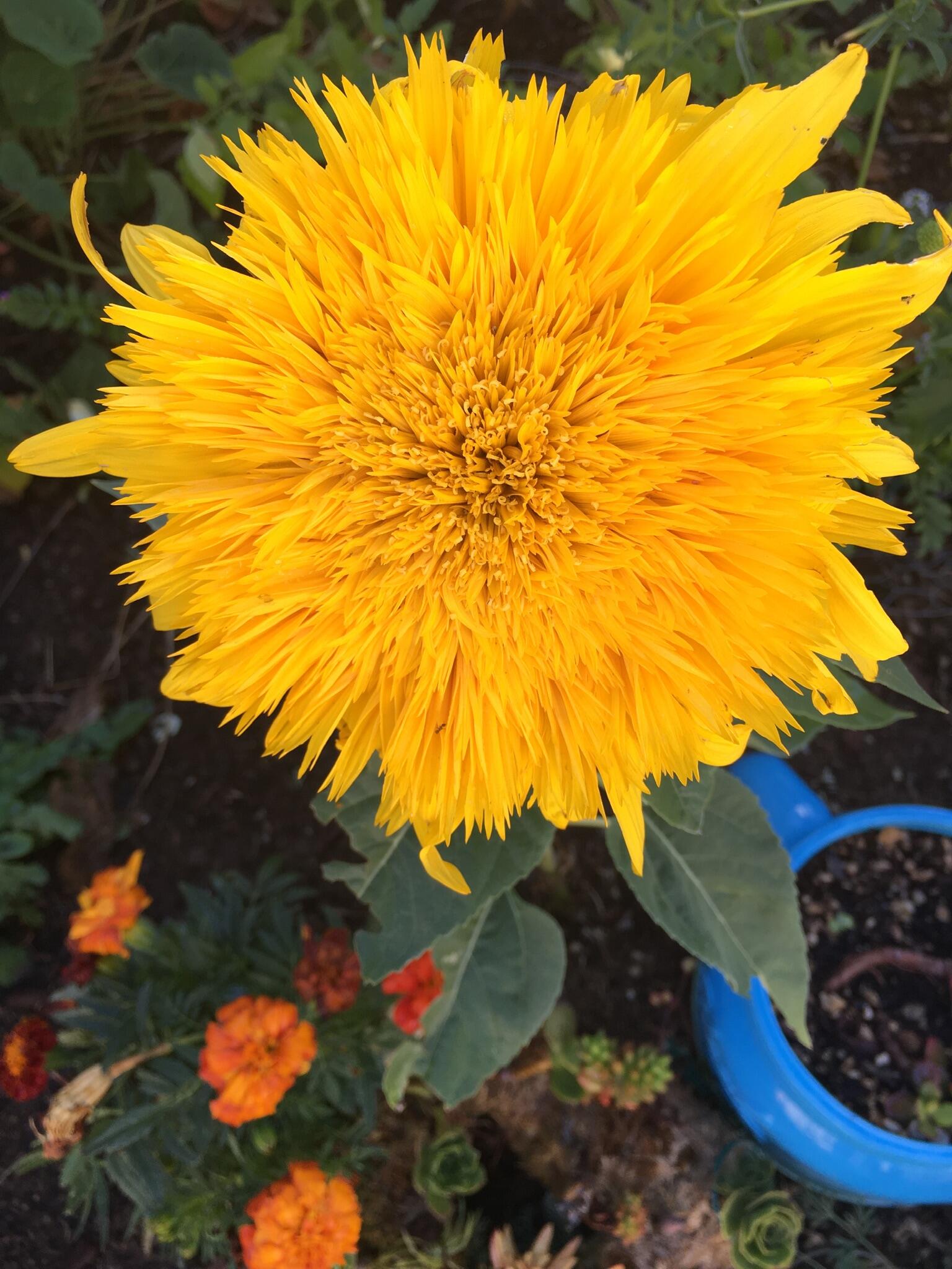 Larry Cusick's Instagram, Twitter & Facebook on IDCrawl