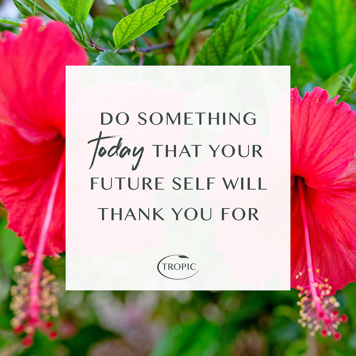 The Home Service - Bath, England - Nextdoor