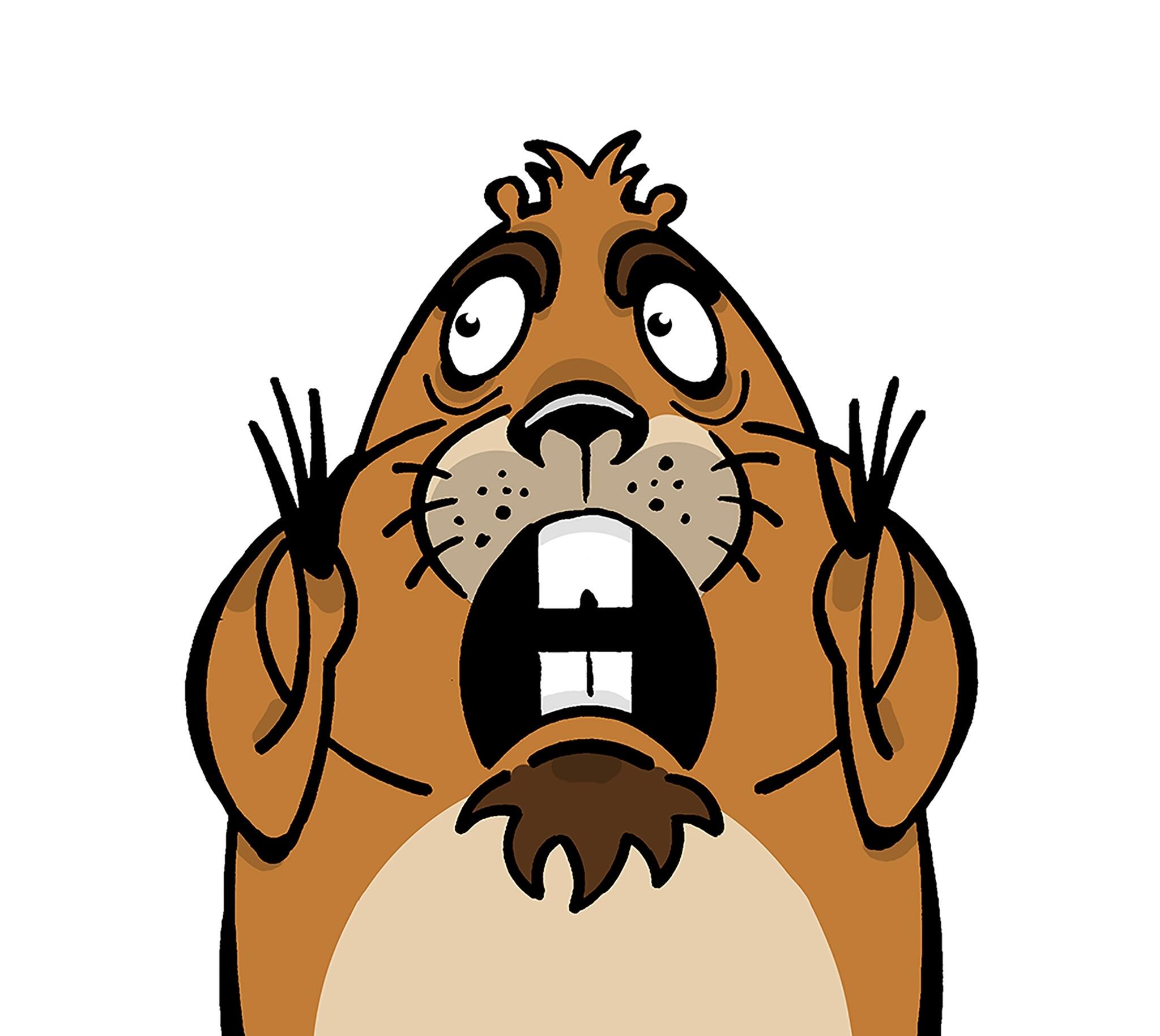 The Gopher Guy - Oakley, CA - Nextdoor