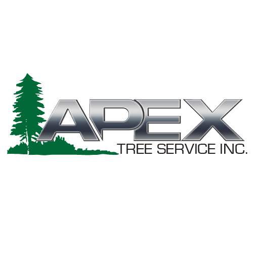 Apex Tree Service - Decatur, GA - Nextdoor
