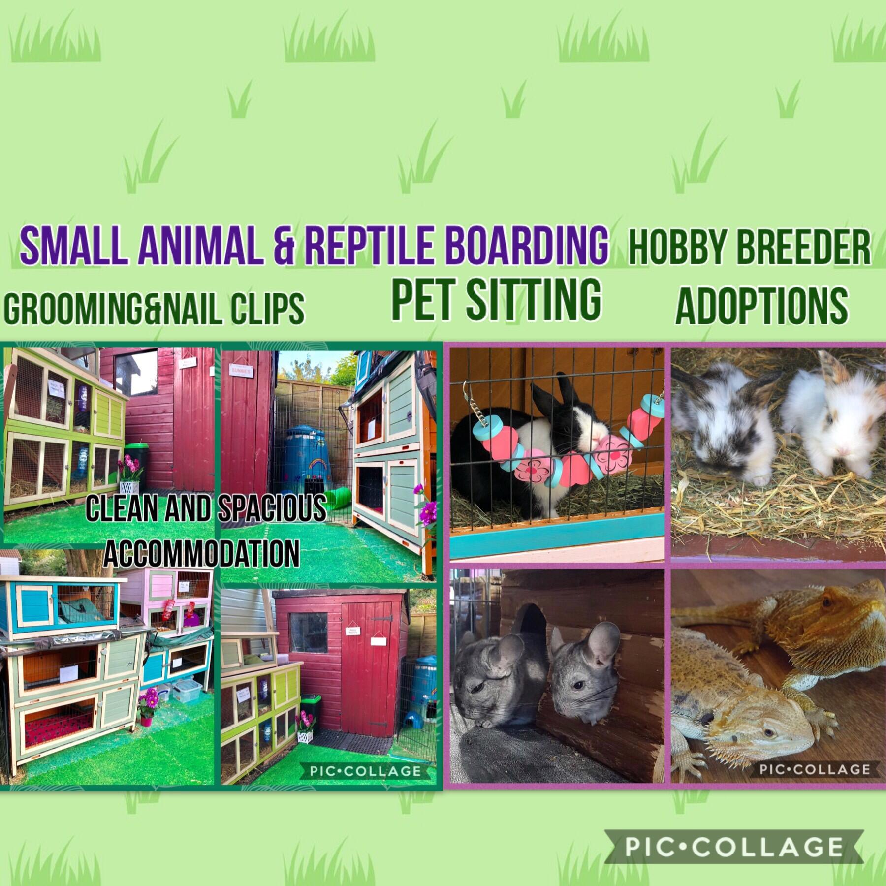 Happy Hoppers of Worcestershire - Redditch, England - Nextdoor