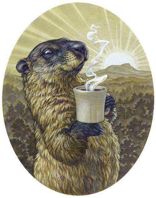 Jamoka Joe's - Nextdoor