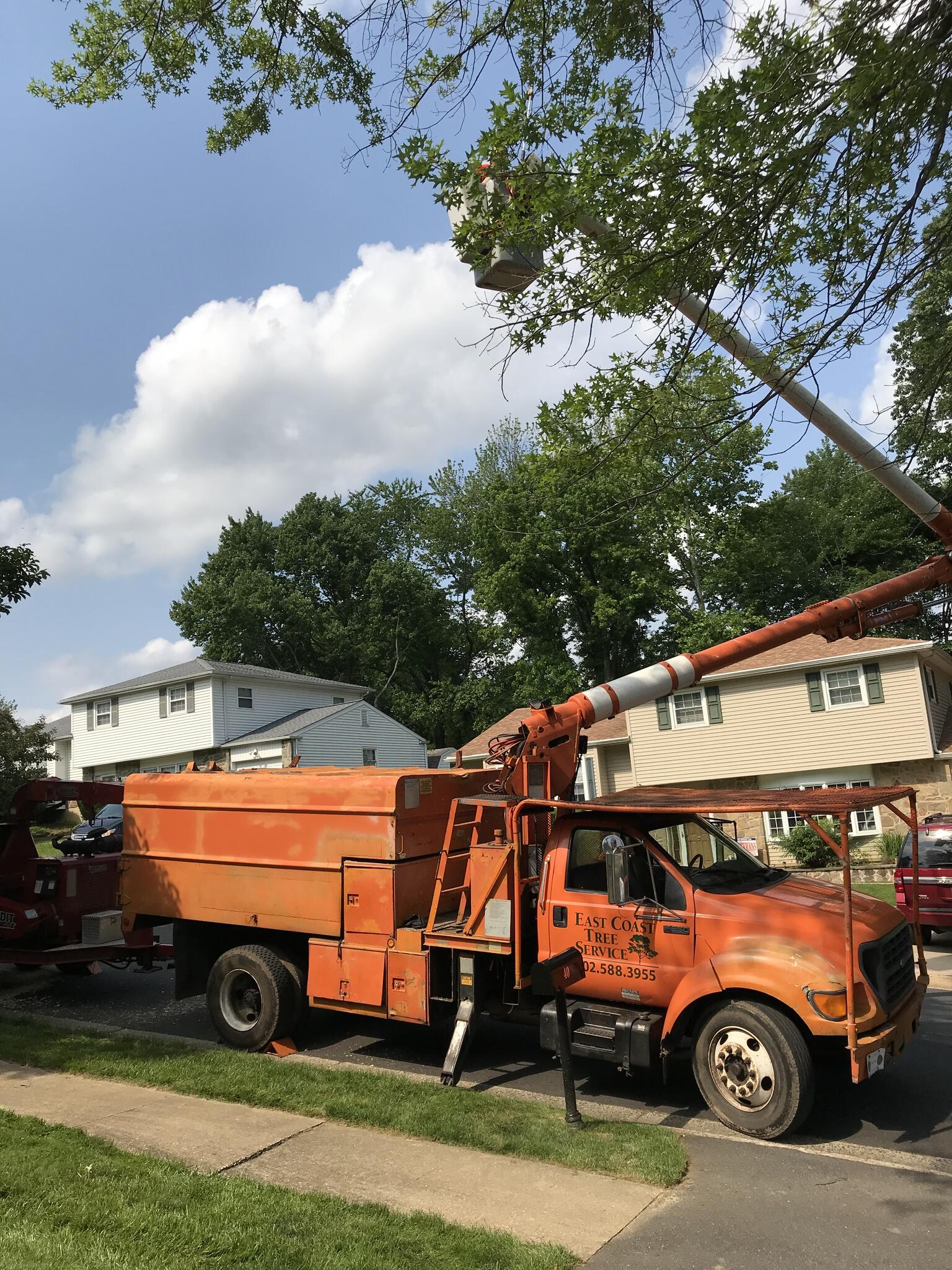 East Coast Tree Service - Wilmington, DE - Nextdoor