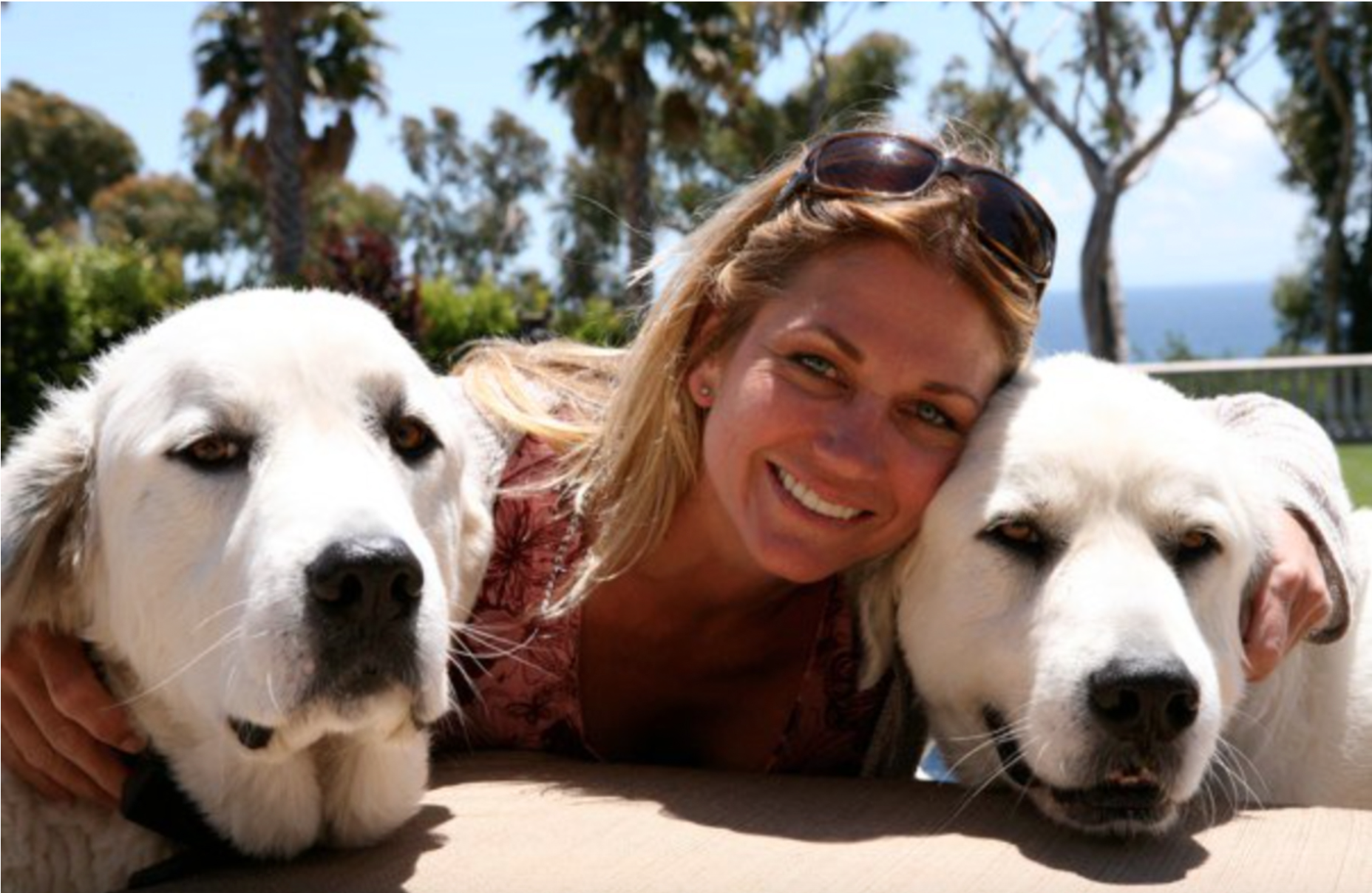 Ashley Farrell Landscape Design - Santa Barbara, CA - Nextdoor