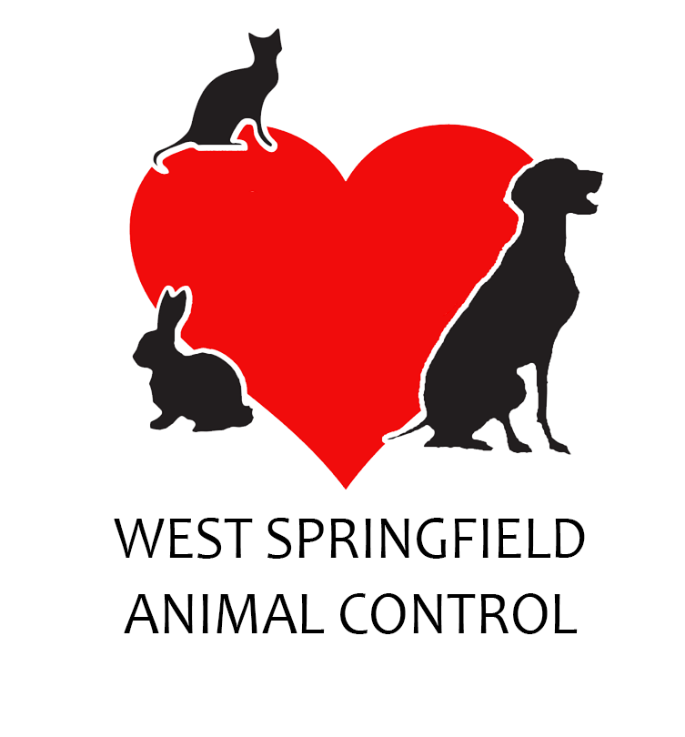 West Springfield Police Department - 37 Crime and Safety updates ...