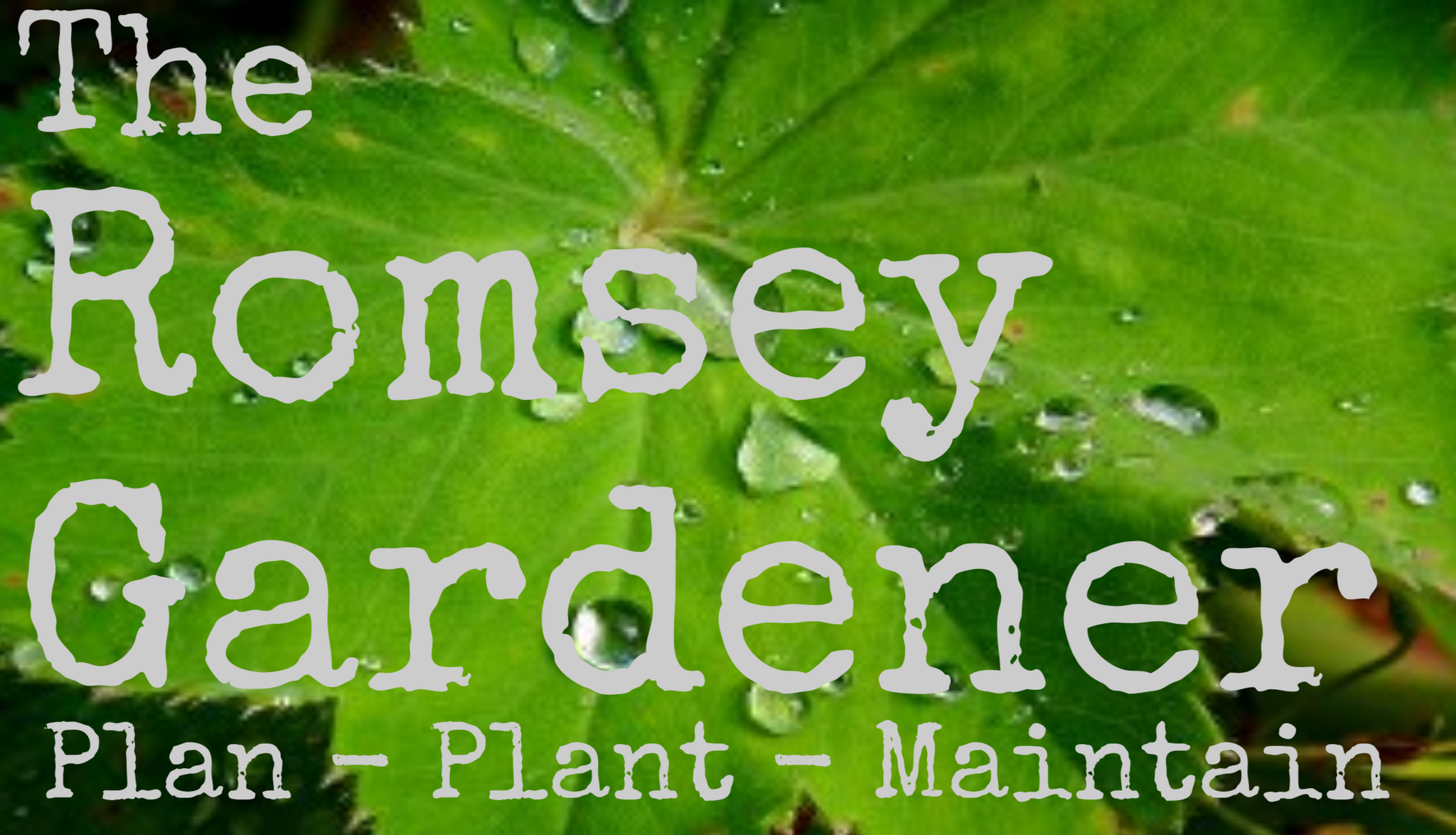 The Romsey Gardener - Romsey, England - Nextdoor