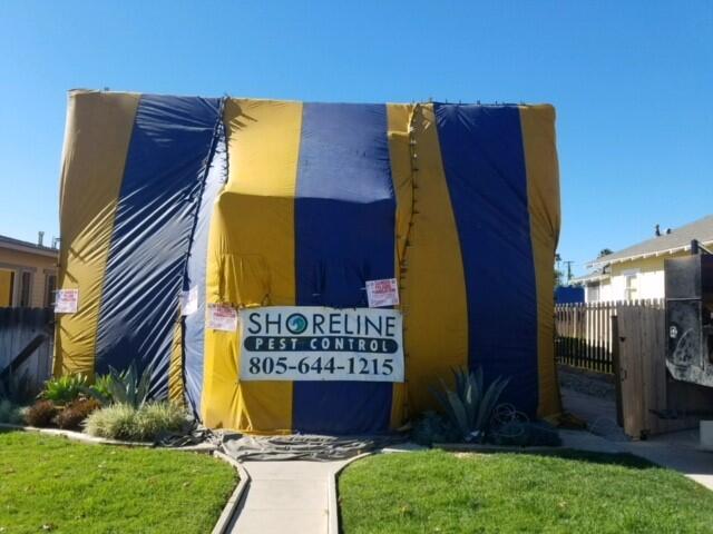 Shoreline Pest Control - Ventura, CA - Nextdoor