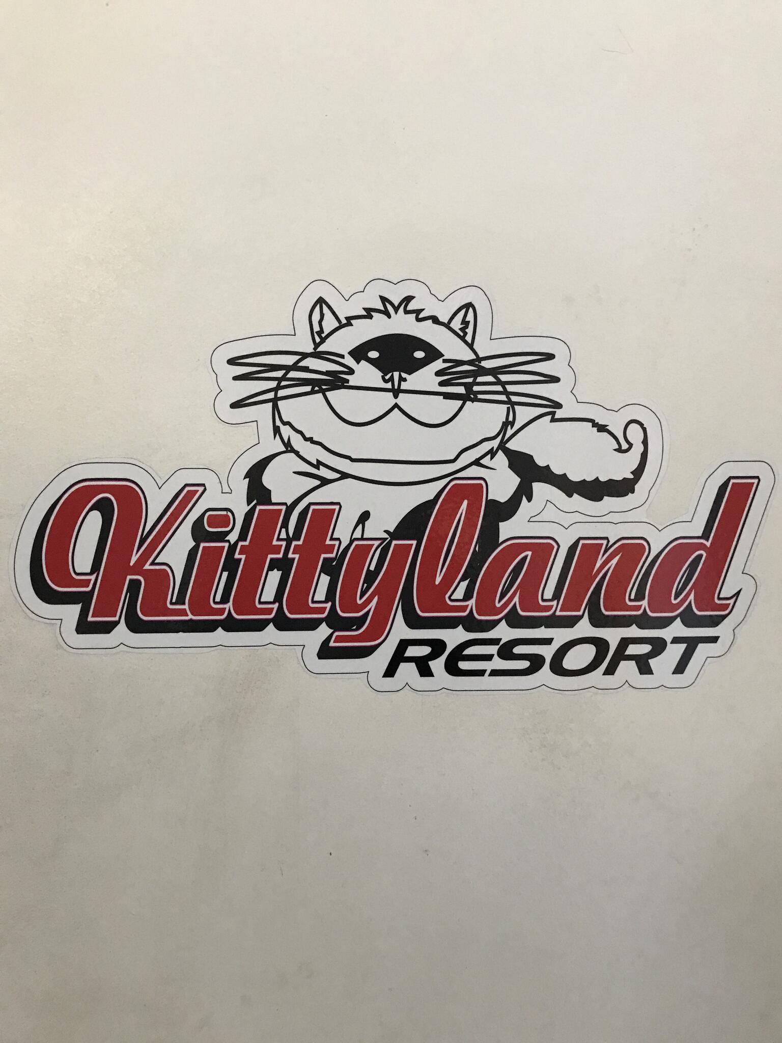 Kittyland Resort & Spa - Ventura, CA - Nextdoor