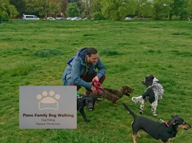 Paws Family Dog Walking - Croydon - Nextdoor
