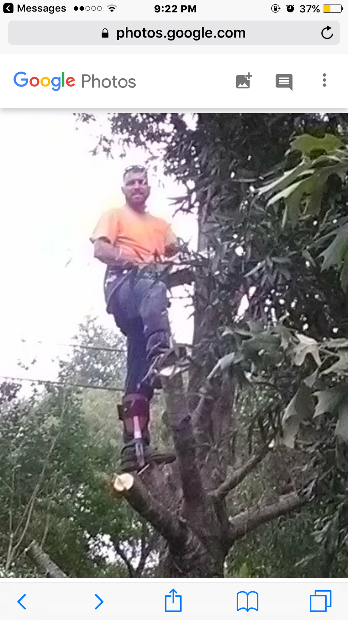 Arbor Tech Tree & Landscaping - Nextdoor