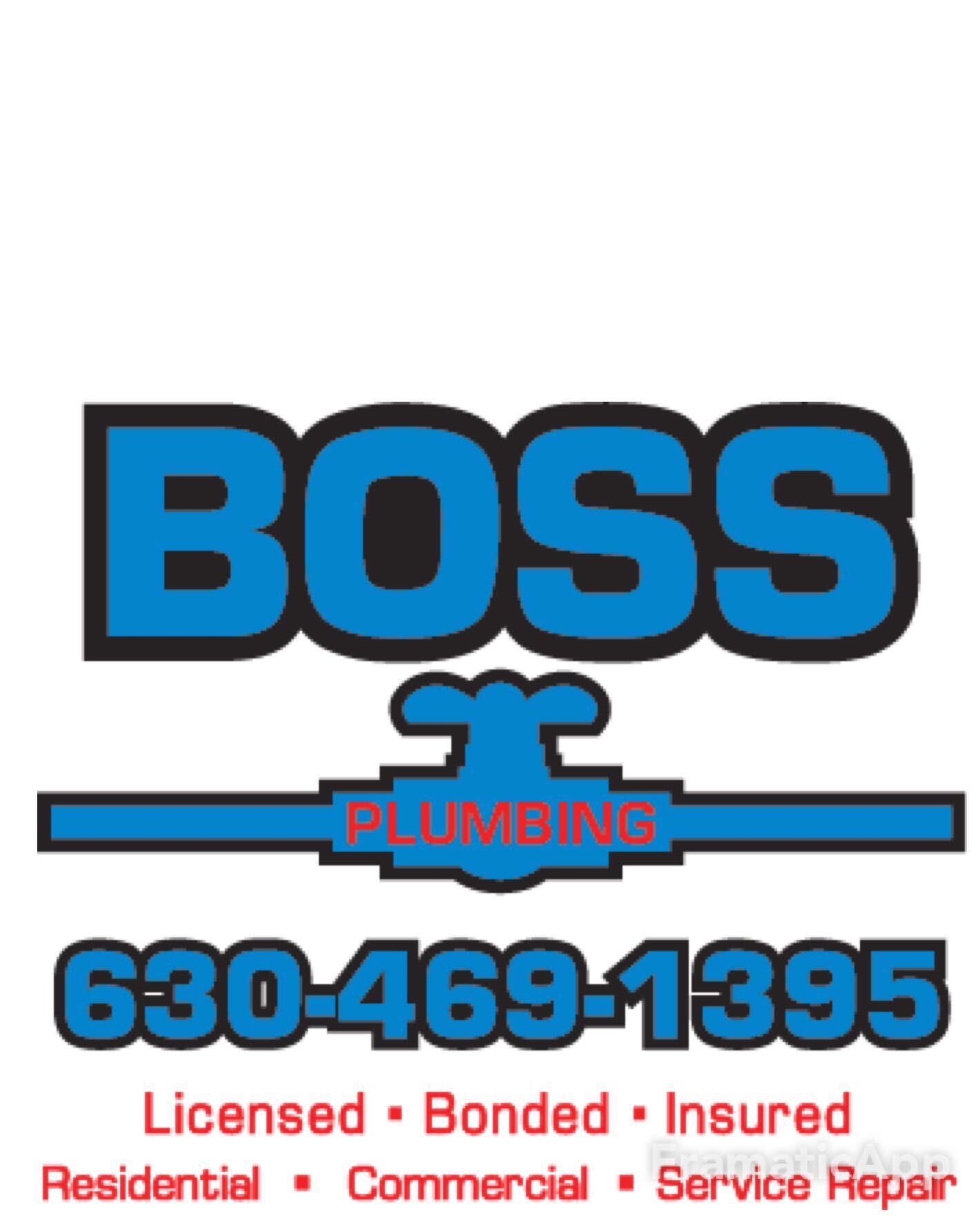 Boss Plumbing Corp - Glen Ellyn, IL - Nextdoor