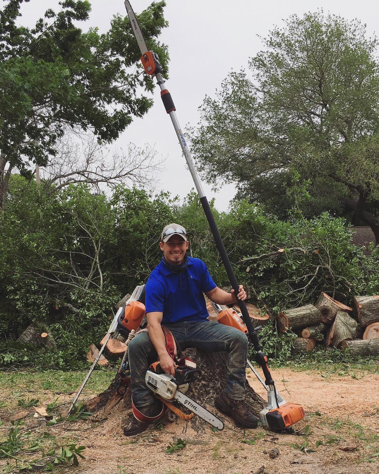 Mason Trees - Nextdoor