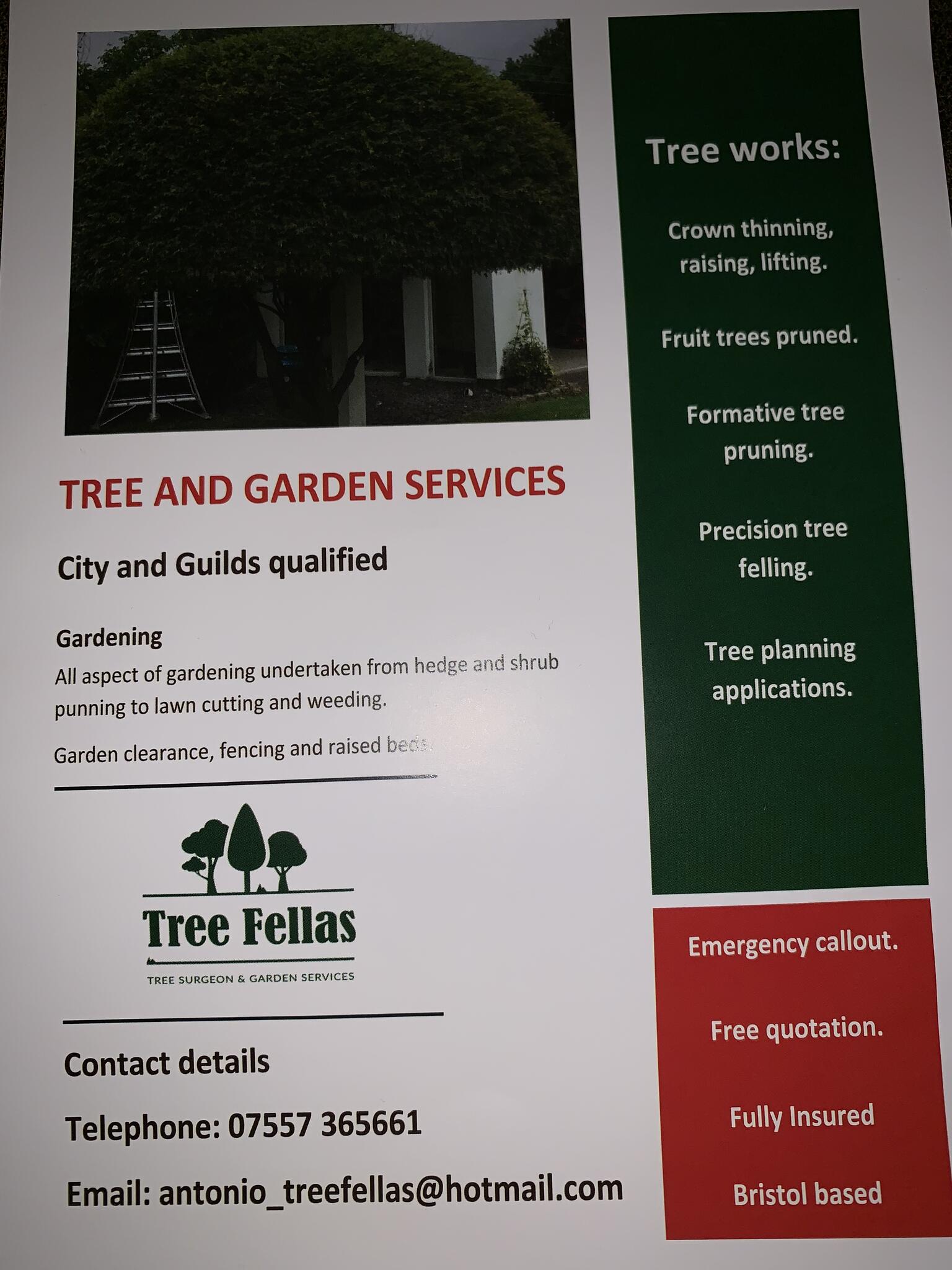 Tree Fellas - Bristol, England - Nextdoor