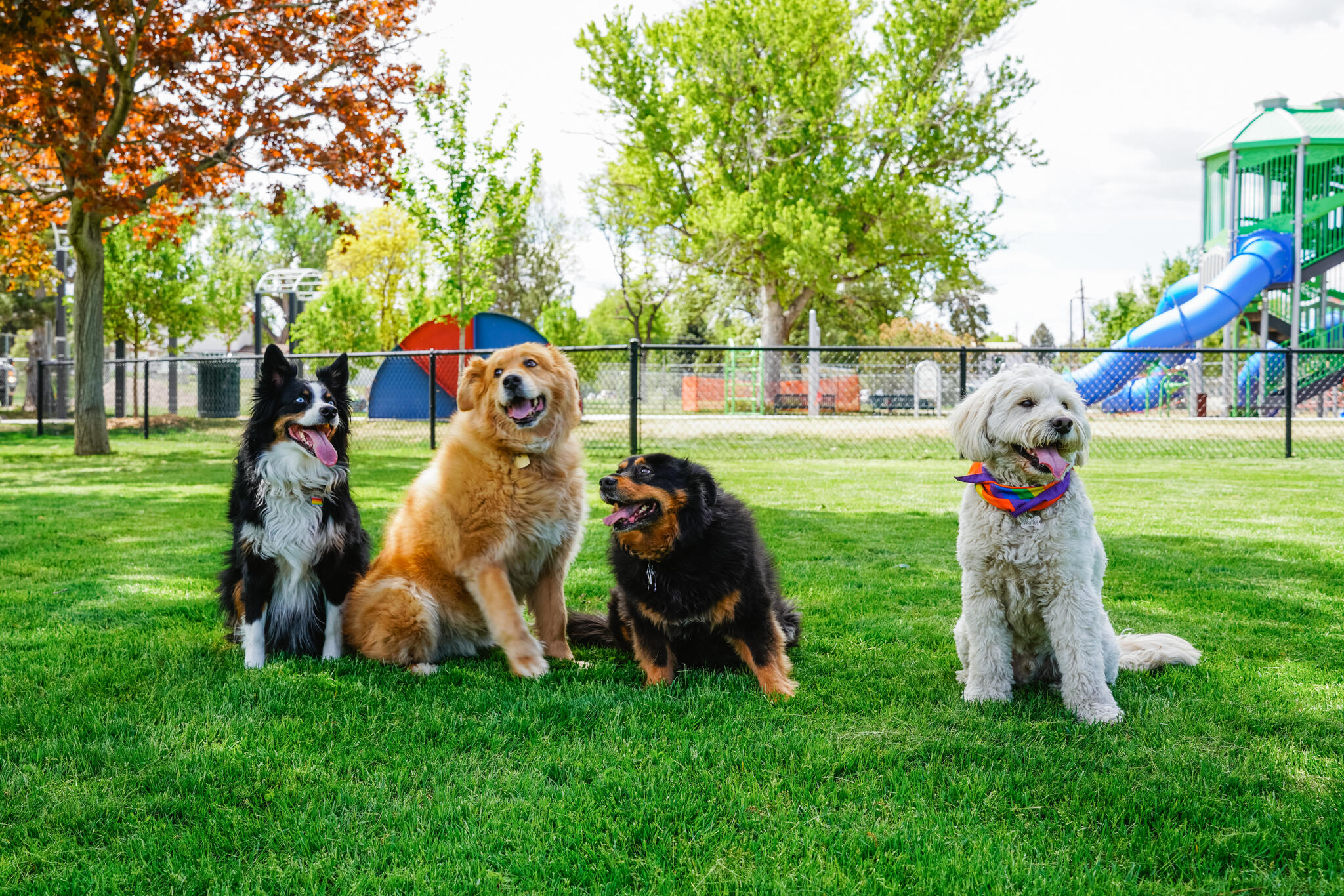 New Utilities Bill & Customer Portal