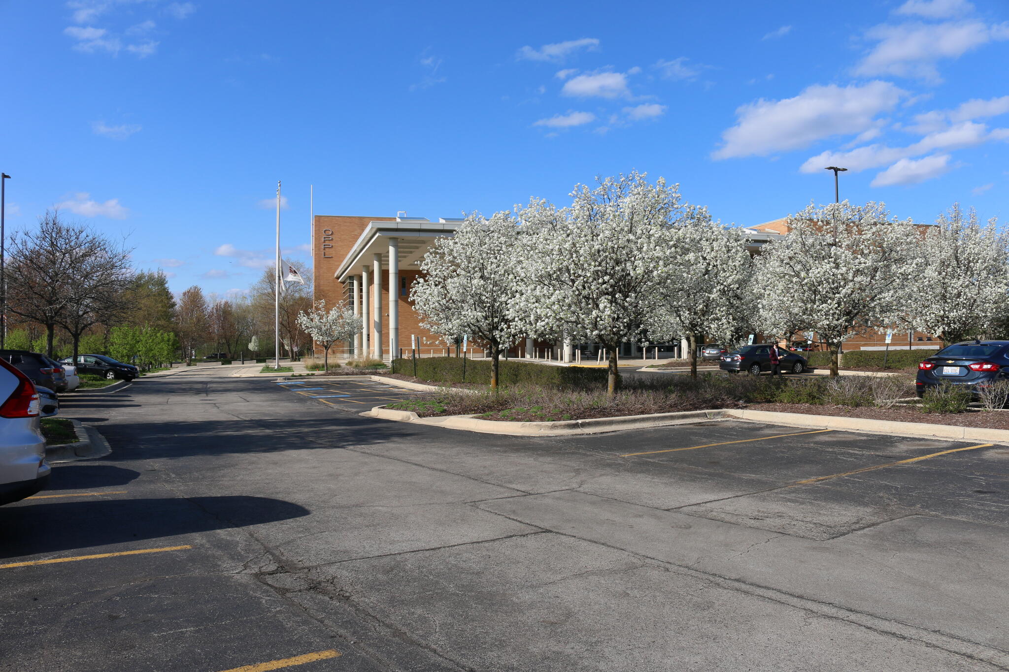 Chef Susan Maddox returns.