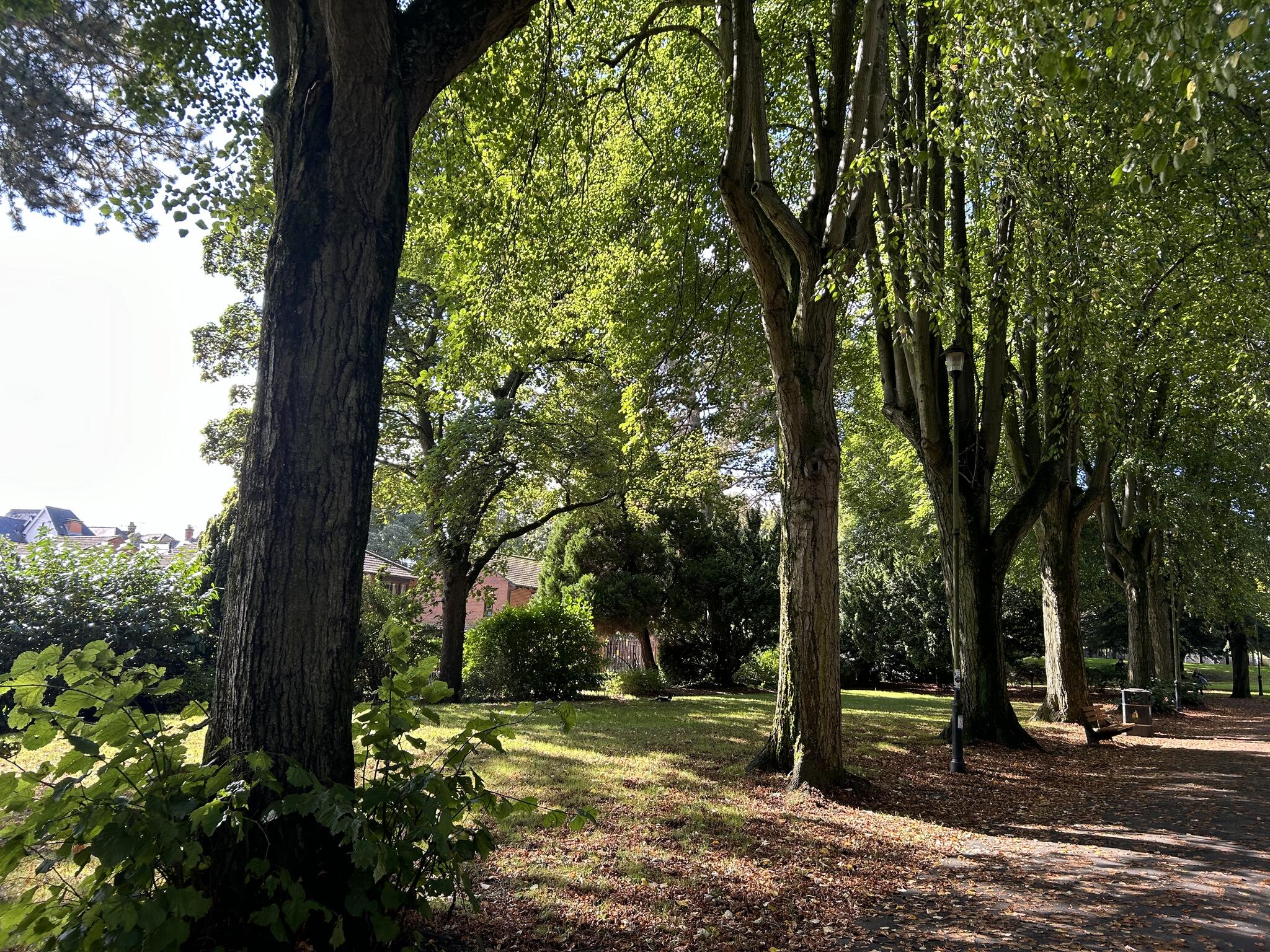 Councillor Calum Stewart, who represents Farnborough’s Knellwood ward ...