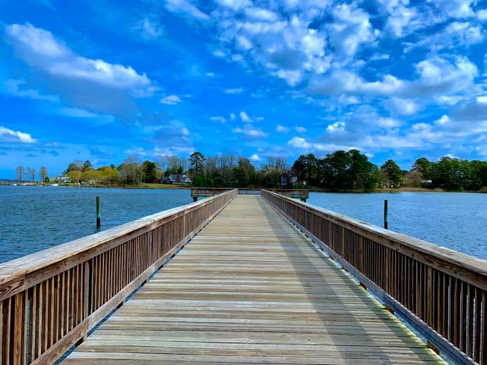 TCC BRIDGE-Plus Program
