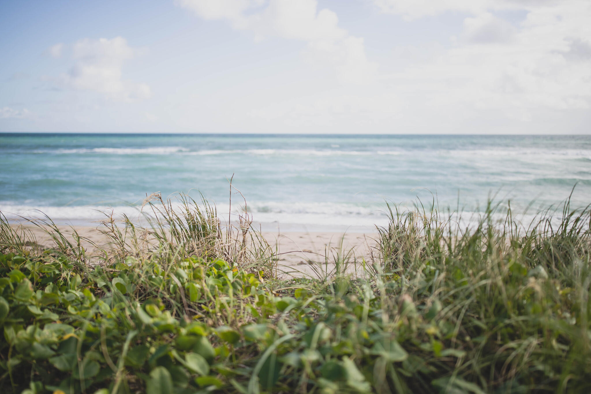 Martin County Property Appraiser - 8 updates