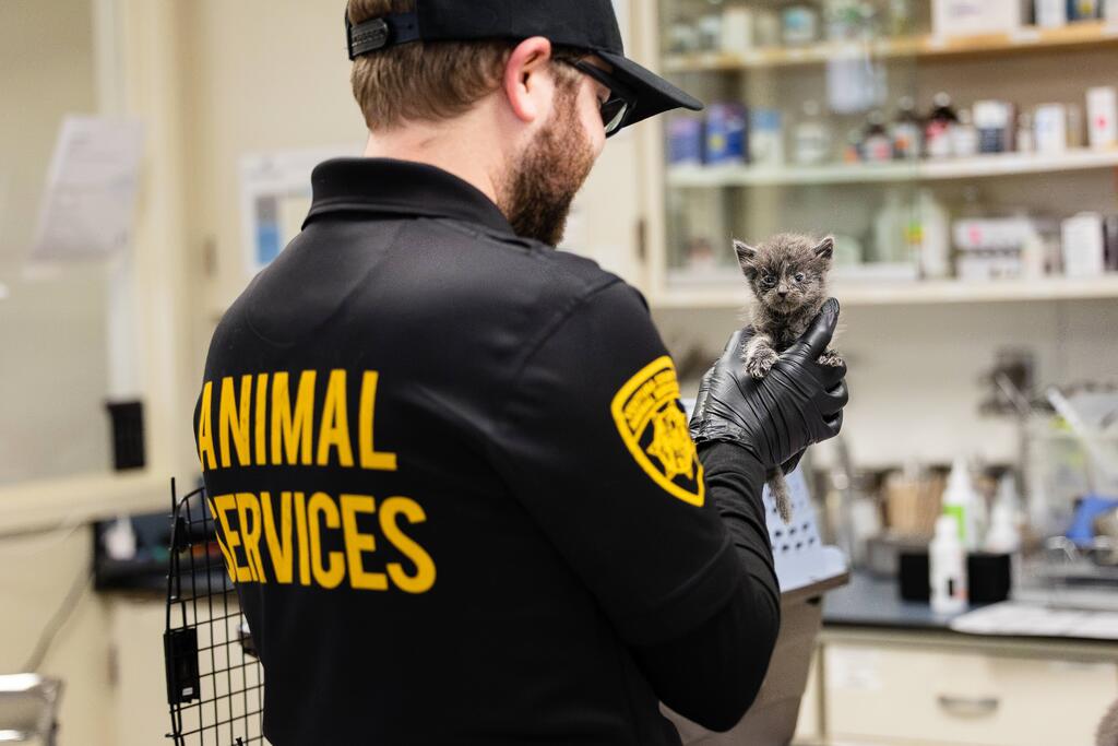 Ventura County Animal Services - 376 updates