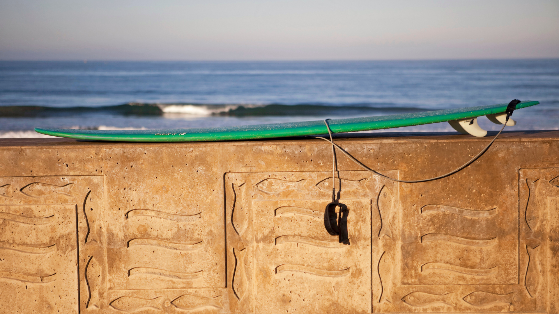 Registration is now open for the fall session of the Citizens POLICE ...