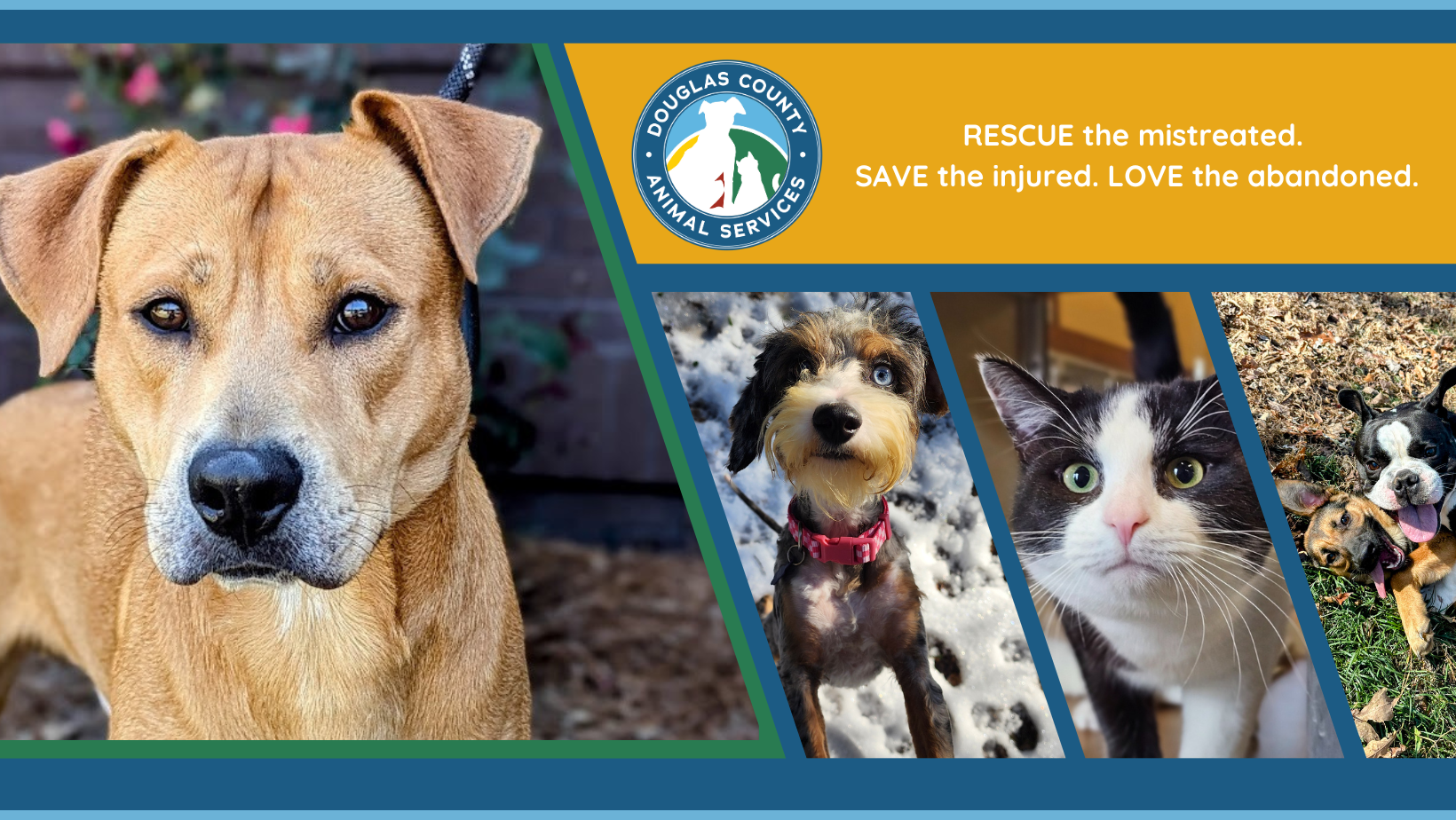 Douglas County Animal Services - 81 updates