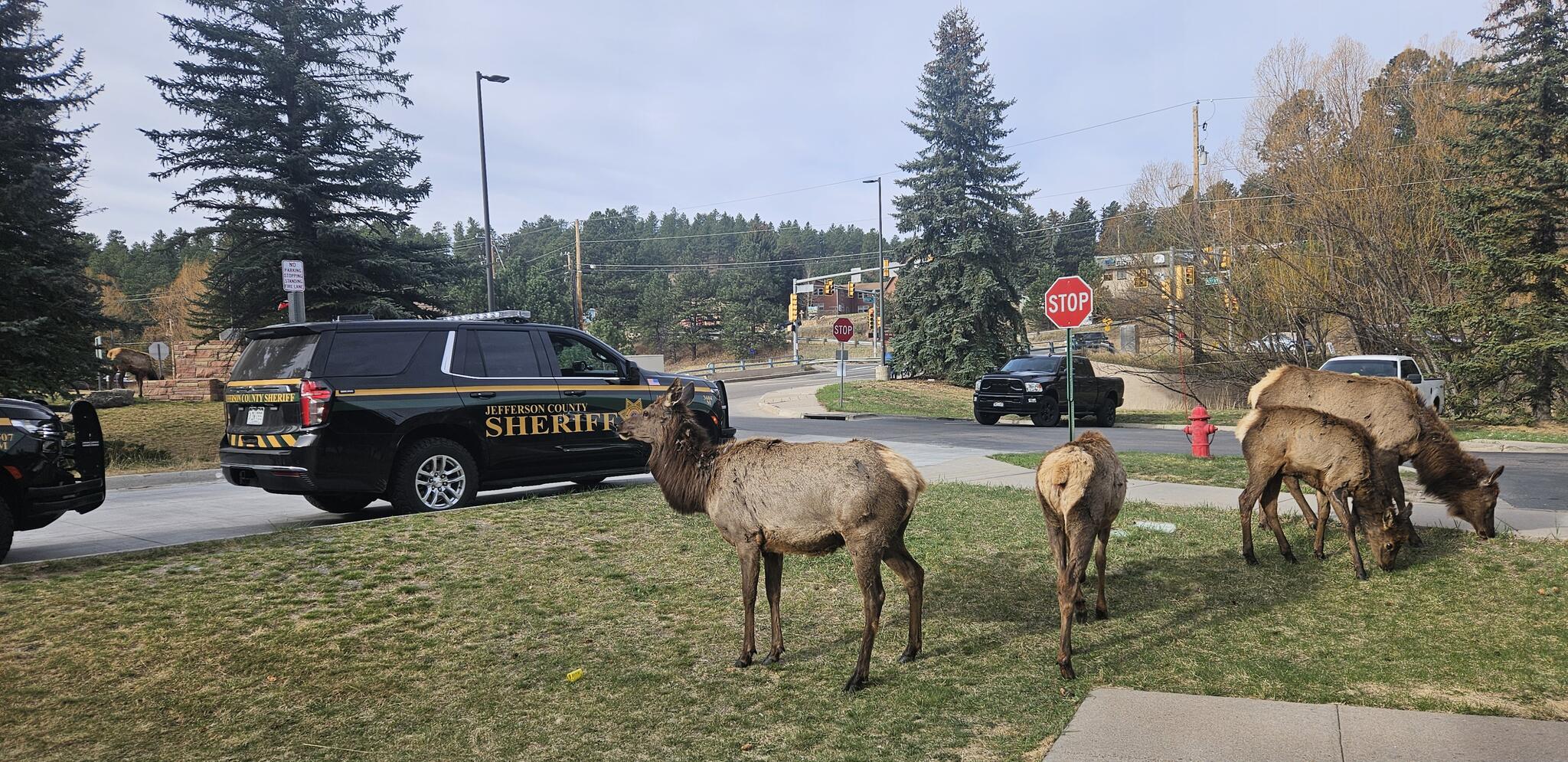 Deputy Bybee and our JCSO Drone Unit joined Scout Pack 847 for First ...