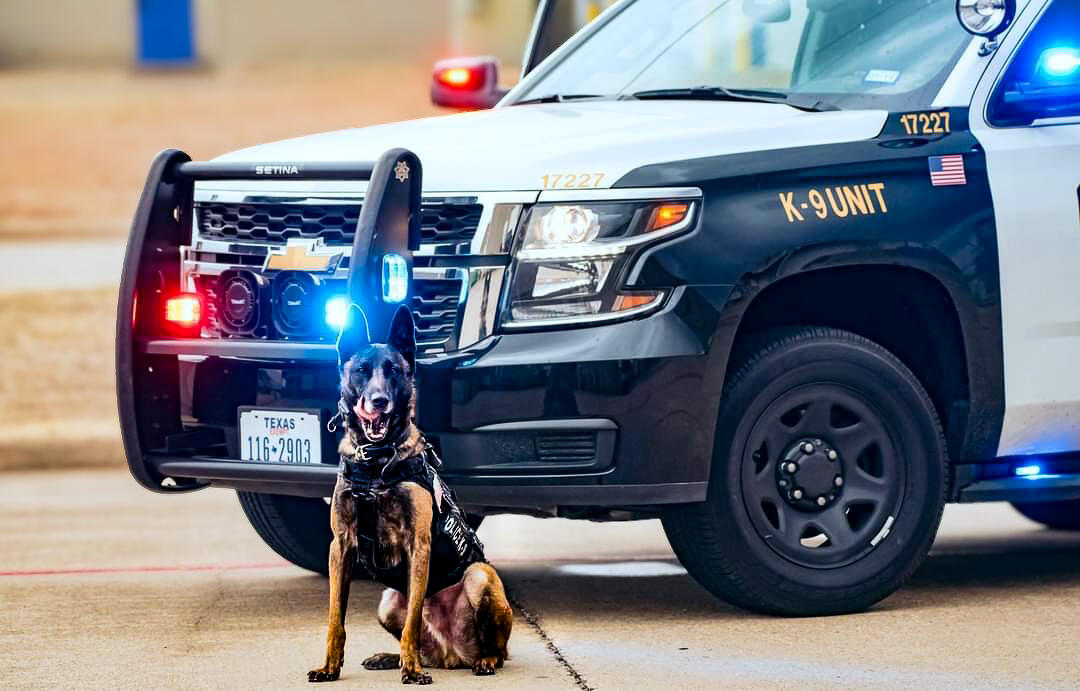 Plano Police Department - 2939 updates