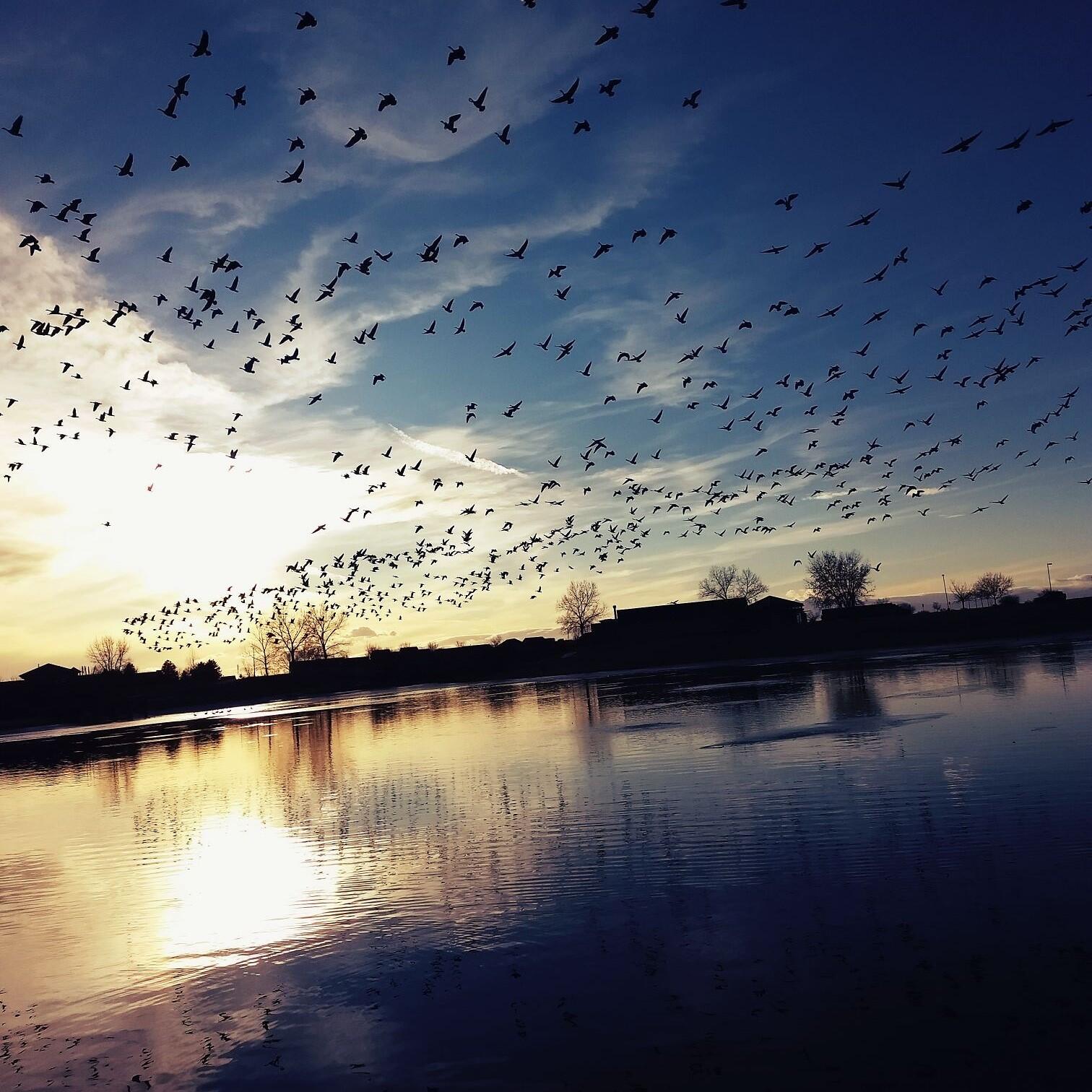 Town Hall will be closed Monday, January 19th in observance of Martin ...