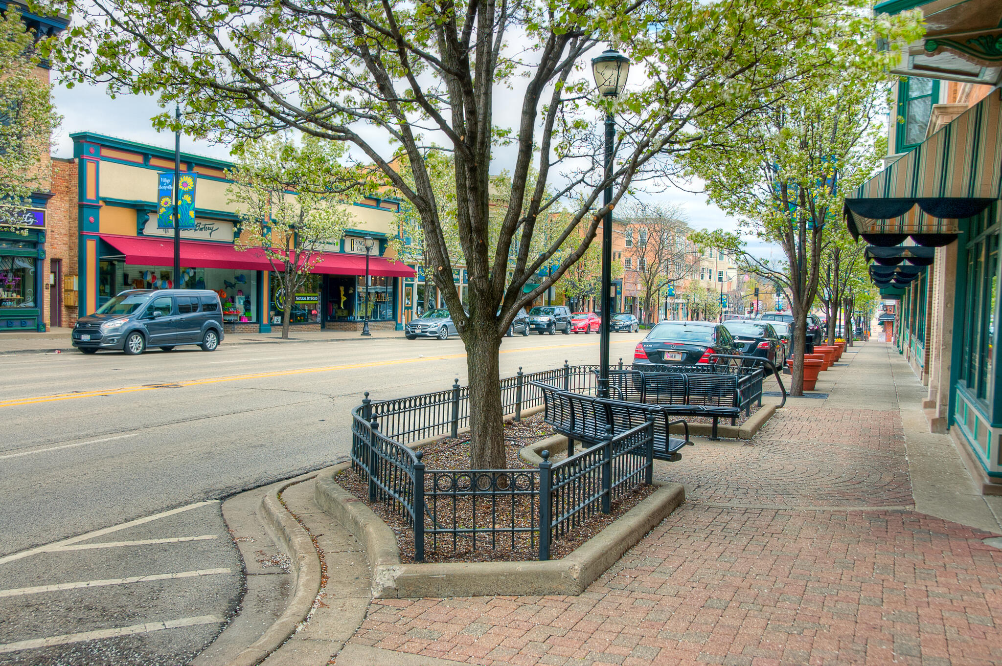 Construction at Nicholas Dowden Park