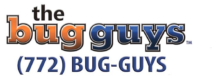 THE BUG GUYS - Port St Lucie, FL - Nextdoor