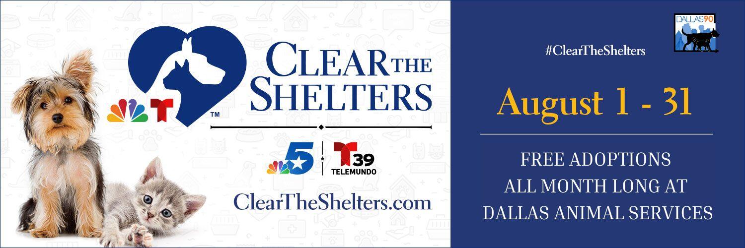Free Parvo/Distemper (dogs) and FVRCP vaccines (cats) this day only!