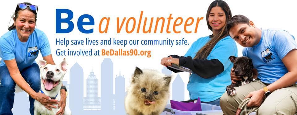 Free Parvo/Distemper (dogs) and FVRCP vaccines (cats) this day only!