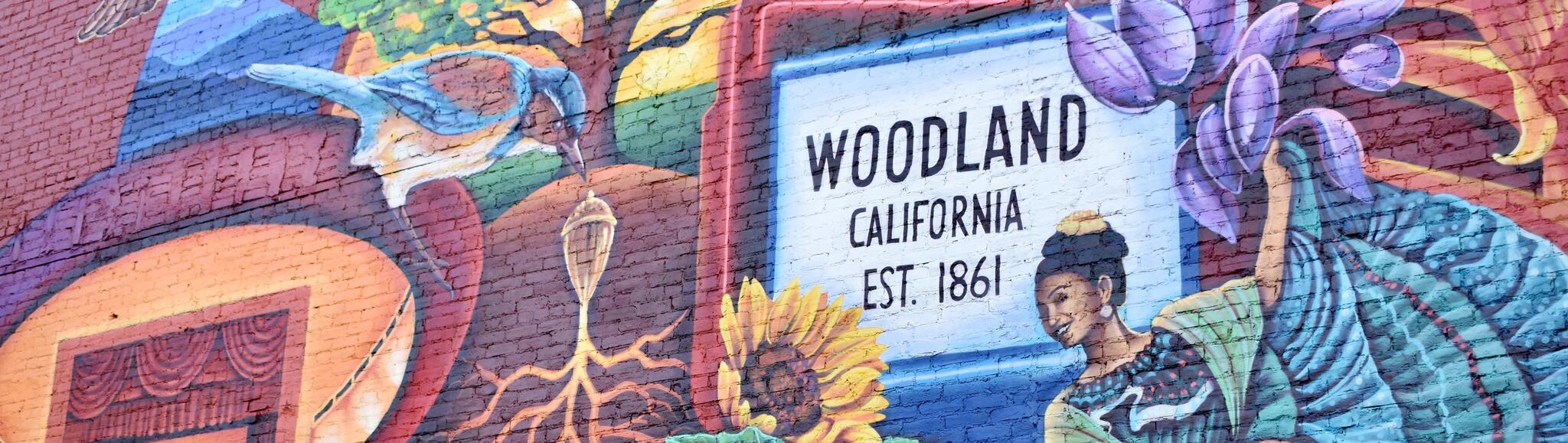City of Woodland Community Development - 5 updates