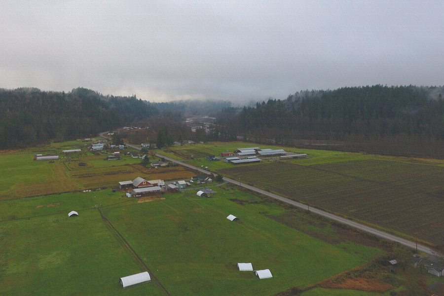 Pierce Conservation District 126 Updates