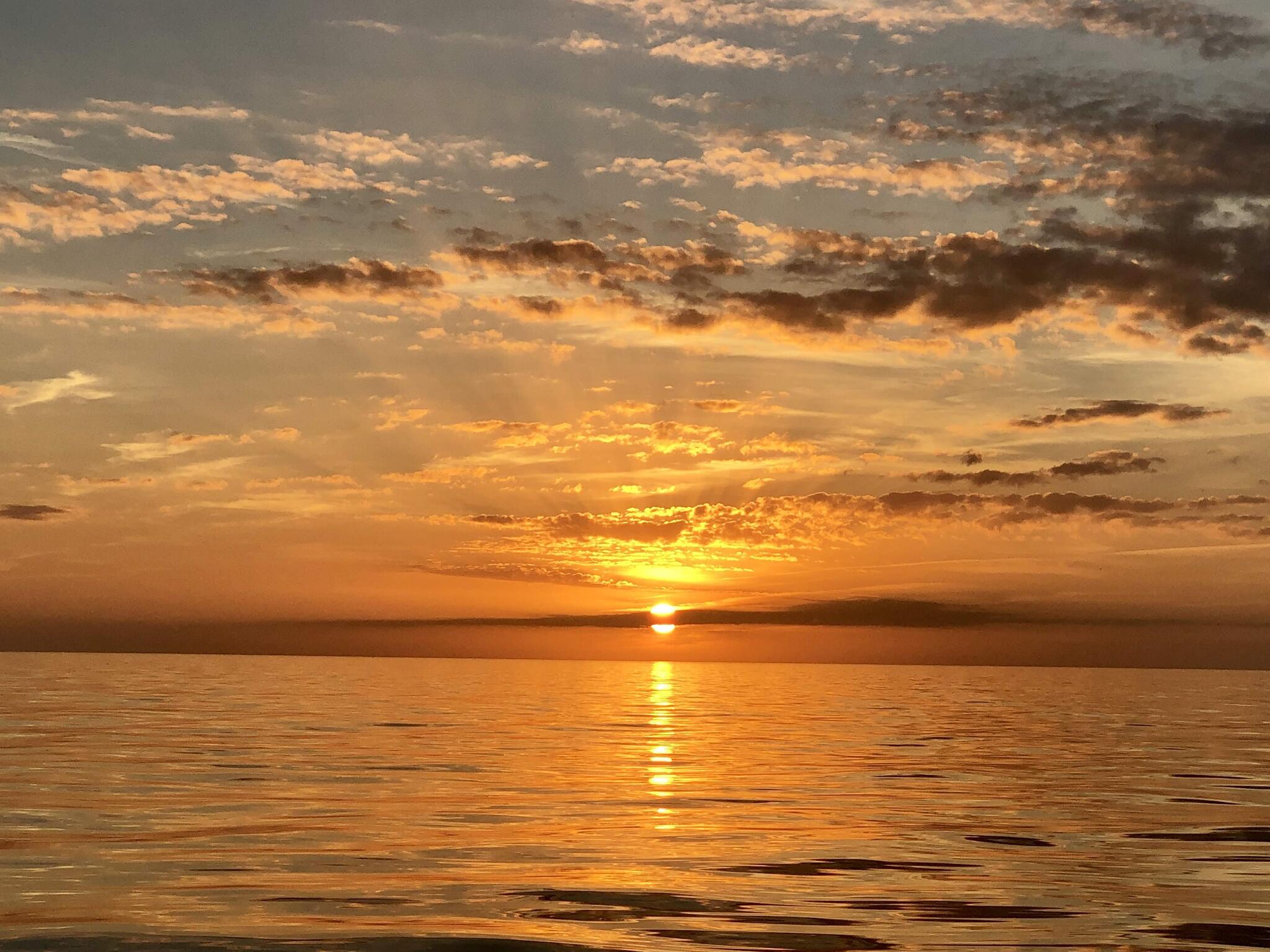 Collier County Redistricting 2021