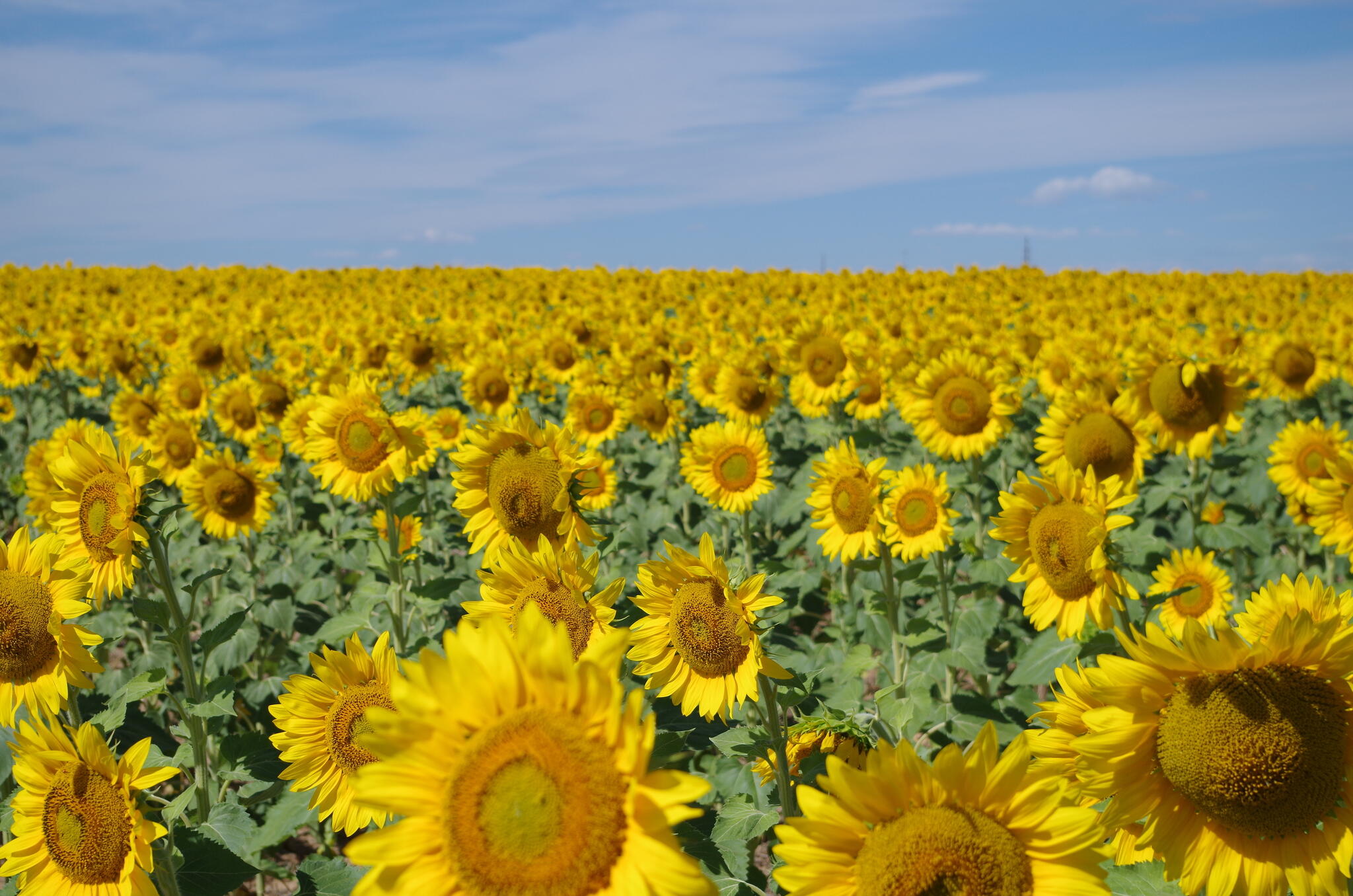 Town of Bennett - 280 updates