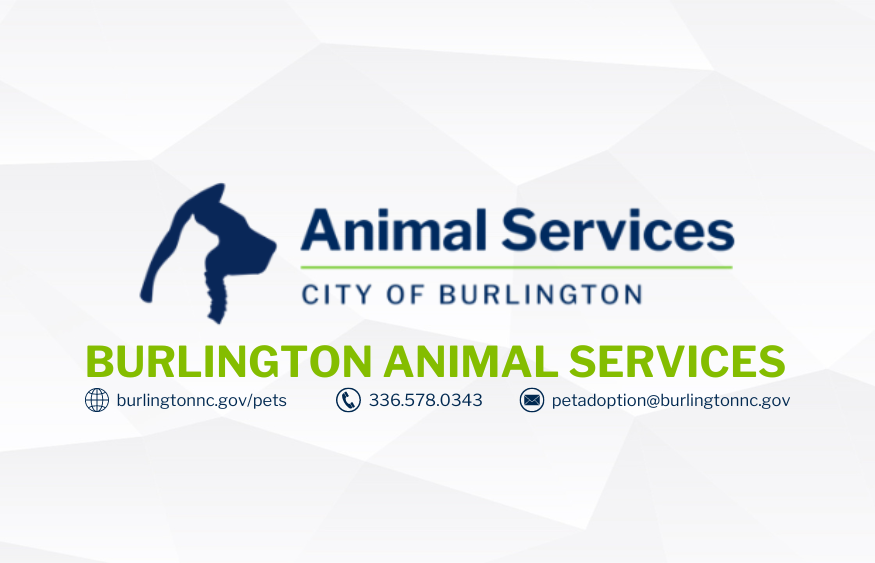 Burlington Animal Services - 89 updates