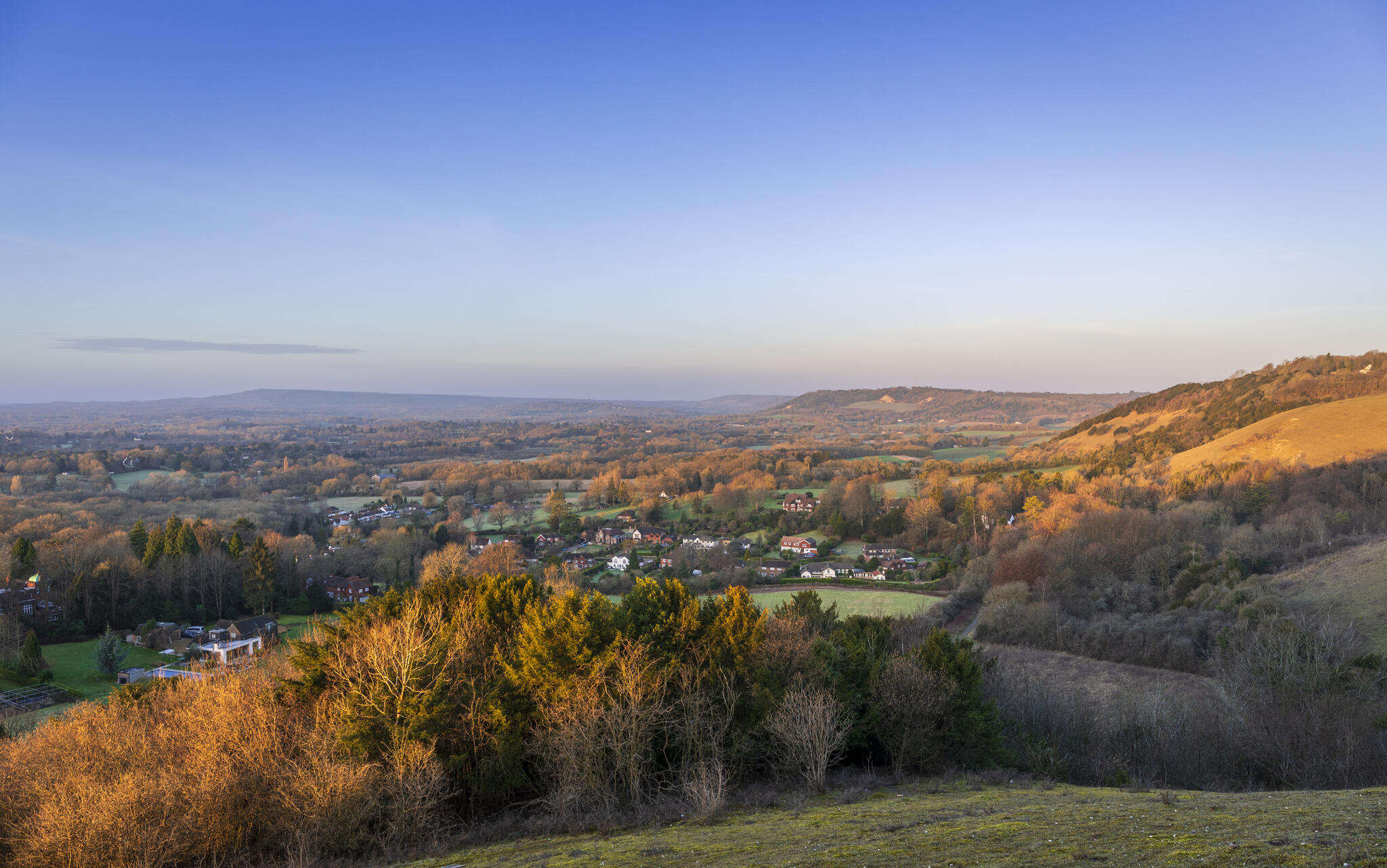 Surrey Environment Partnership - 233 updates
