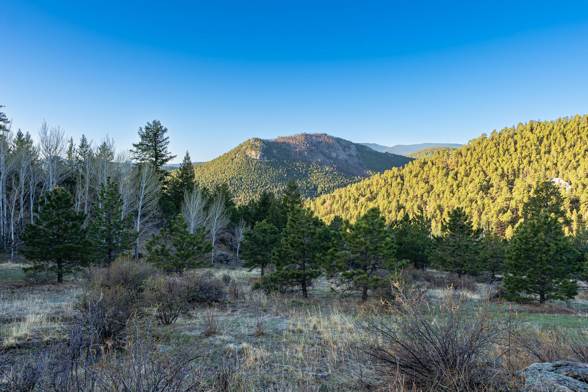 Jefferson Conservation District - 50 updates