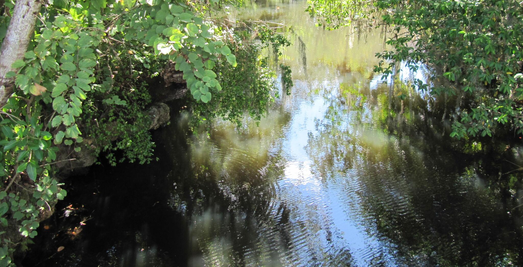 Toasted Yolk Café among topics for the Village of Estero Planning ...