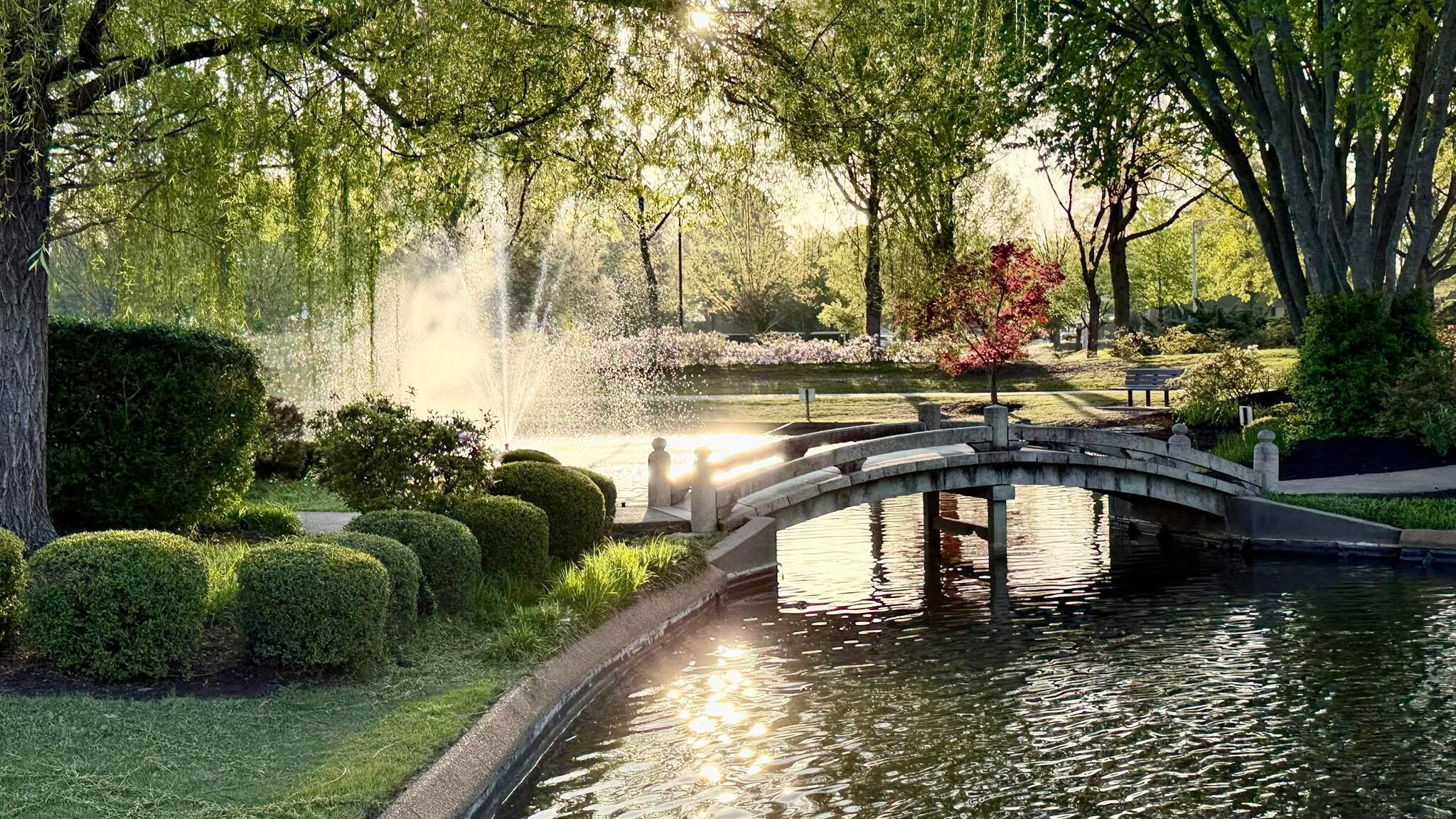 NEW BUSINESS ALERT!!!