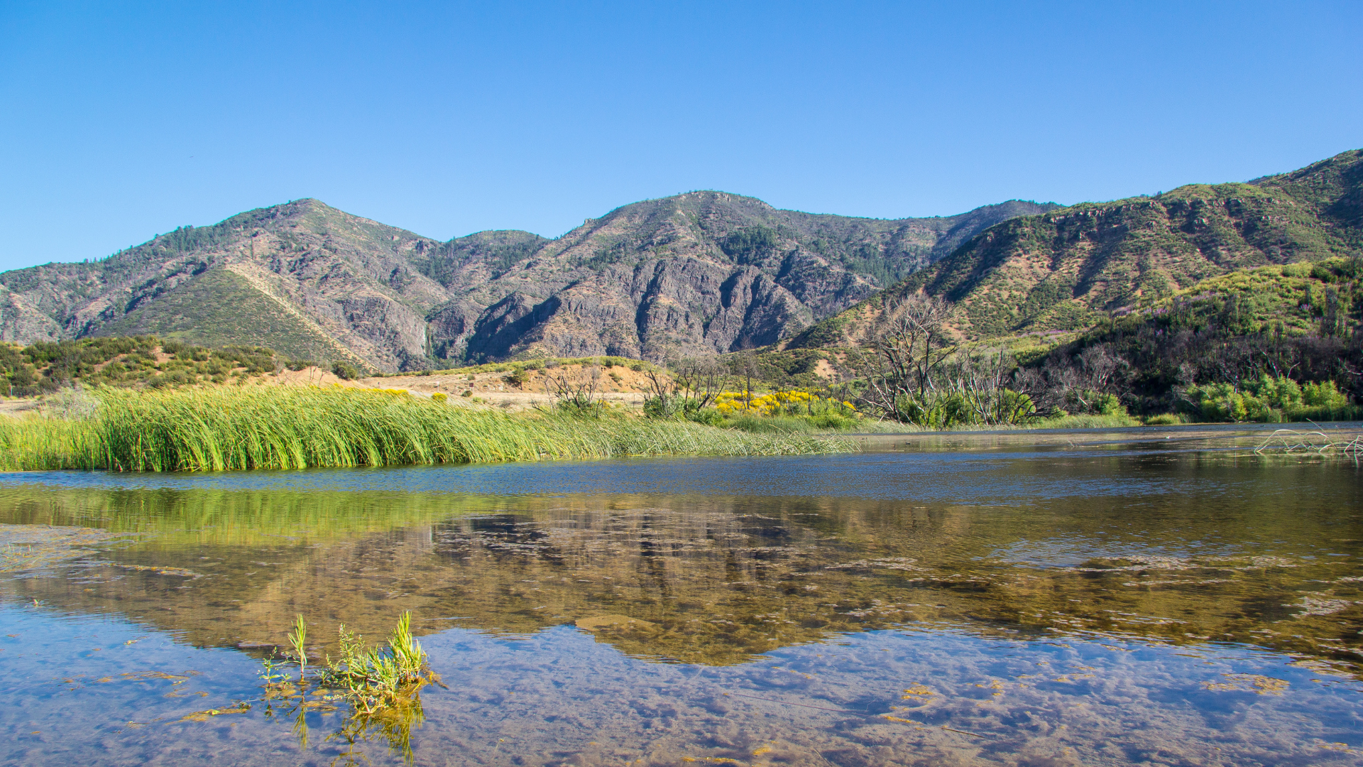 Ventura County Resource Conservation District - 89 updates