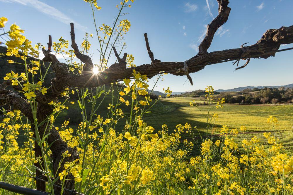 ♻️📱 FREE E-Waste Recycling Event in Oakmont this Weekend — Evento ...