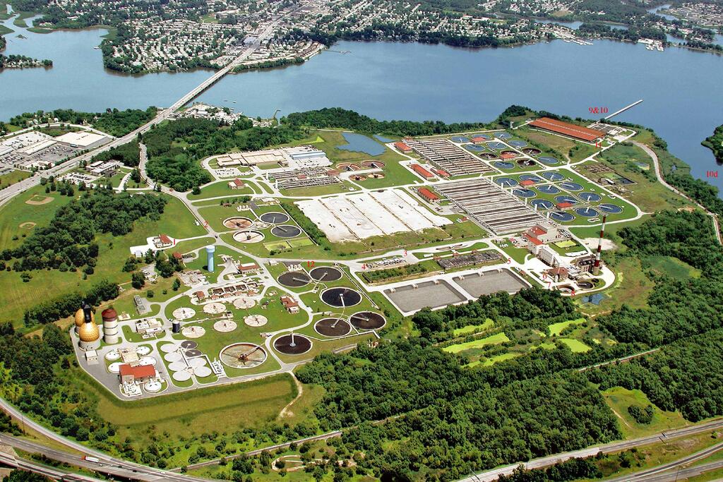 Recycle your Christmas tree the easy way!