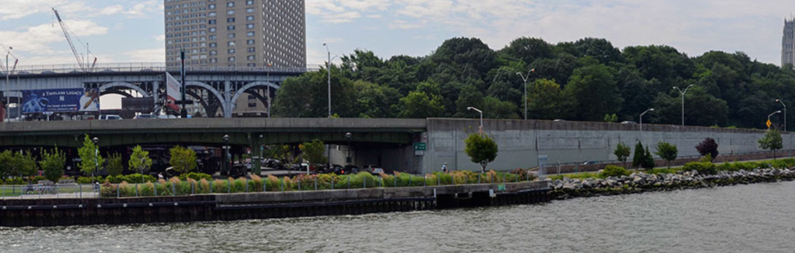 DSNY Compost Giveback Event - Bronx