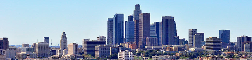 File an LAPD Police Report Online