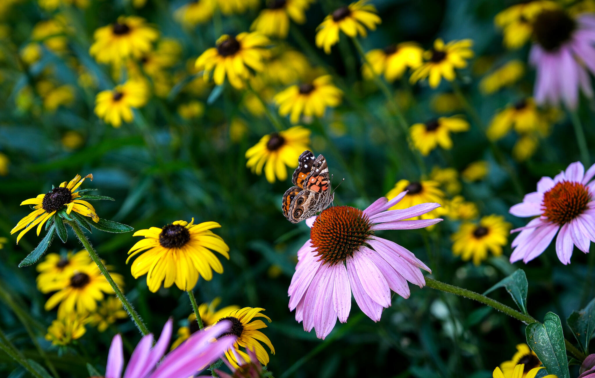A significant winter storm is forecasted for our area this weekend ...